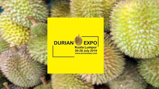 Durian Lovers, You Won’t Want to Miss The First Ever Durian Expo in ...