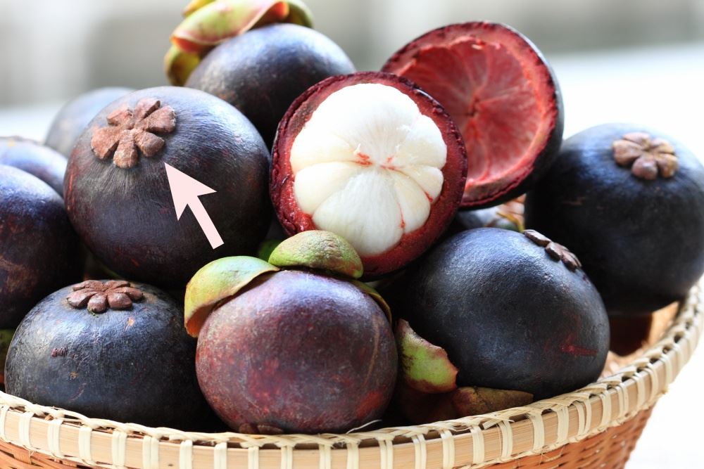 Ini Ke Maksud Bunga Kat Bawah Manggis Tu ? Baru Tahu! | ERA