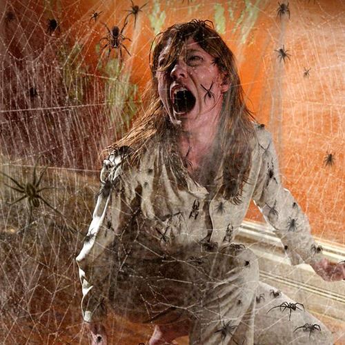 Labah-Labah Mungkin Boleh Hapuskan Semua Manusia Dalam Masa Setahun | ERA