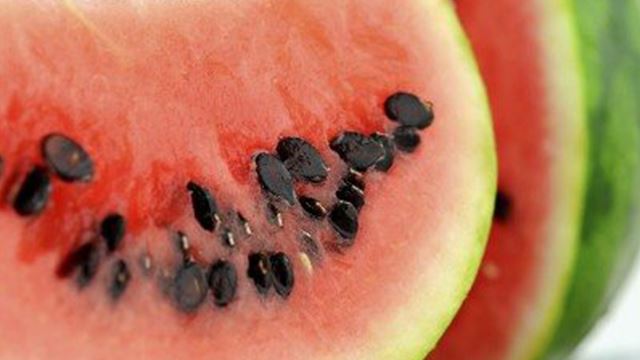 Jangan Buang, Ini Khasiat Biji Tembikai Yang Tak Ramai Tahu | THR GEGAR