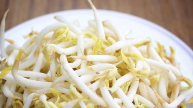 Ini Cara Paling Mudah Nak Tanam Taugeh Tau! Boleh Cuba Ya ! | THR GEGAR