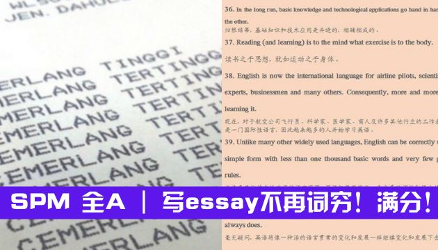 SPM 全A | 写essay不再词穷！超好用的英文词语！ | GOXUAN