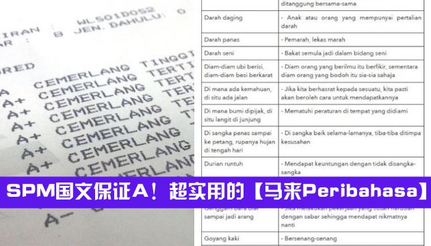 SPM国文保证A！作文超实用的【马来Peribahasa】 | GOXUAN