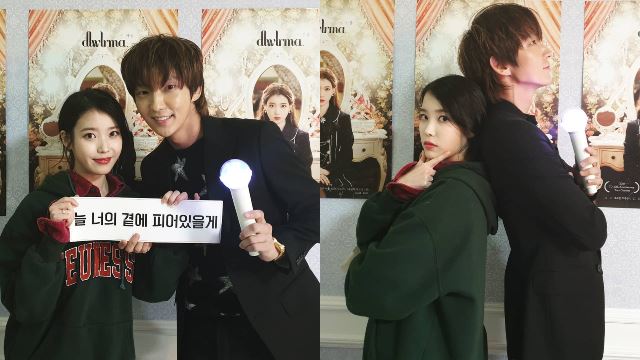 【多图】四树CP合体发糖！李准基化身小粉丝现身IU演唱会 | GOXUAN