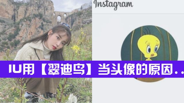 IU用Tweety Bird当头像的原因【曝光】！ | GOXUAN