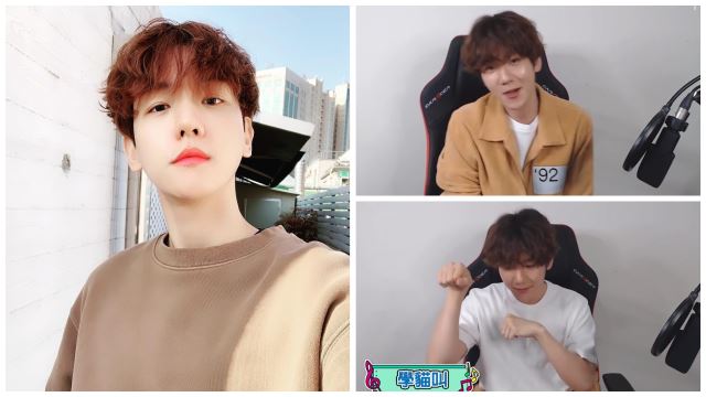 EXO伯贤直播大唱中文歌，发音超标准！粉：表情好有戏｜GOXUAN | GOXUAN