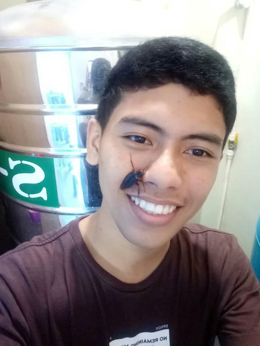 Cockroach Challenge Is Now A Viral Trend And You Need To Take A Selfie ...