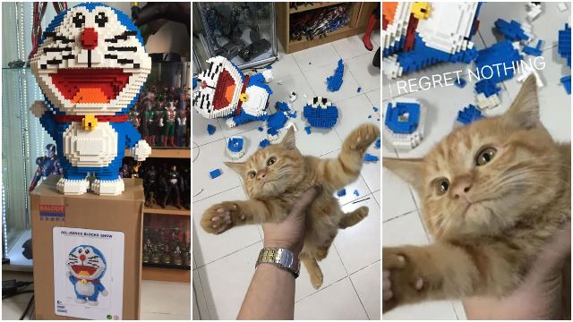 Cat Destroys 2,432-Piece Toy Owner Spent A Week Building | HITZ