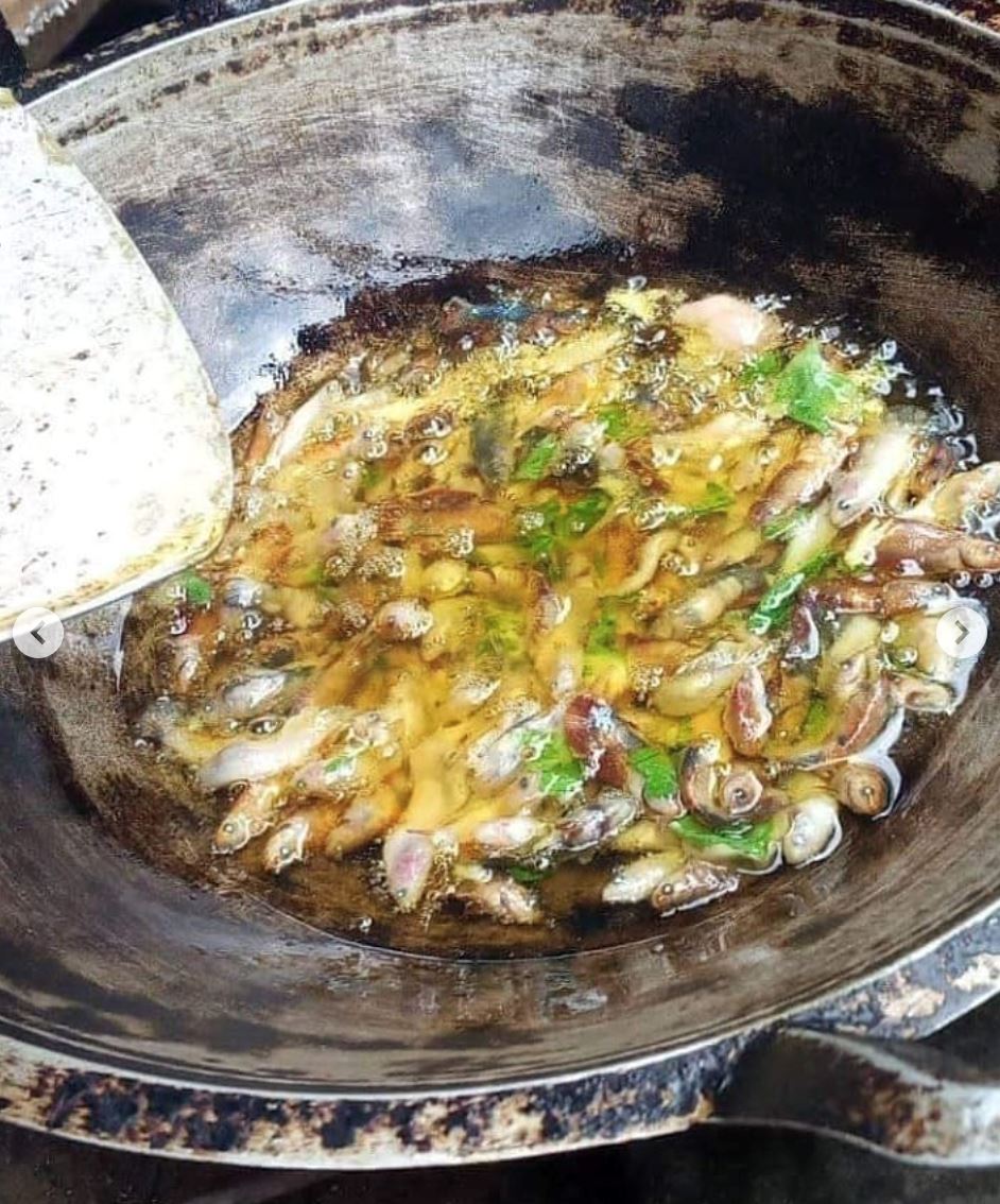 Someone Deep Fried Dozens Of Betta Fish And Everyone’s Crying In Horror ...