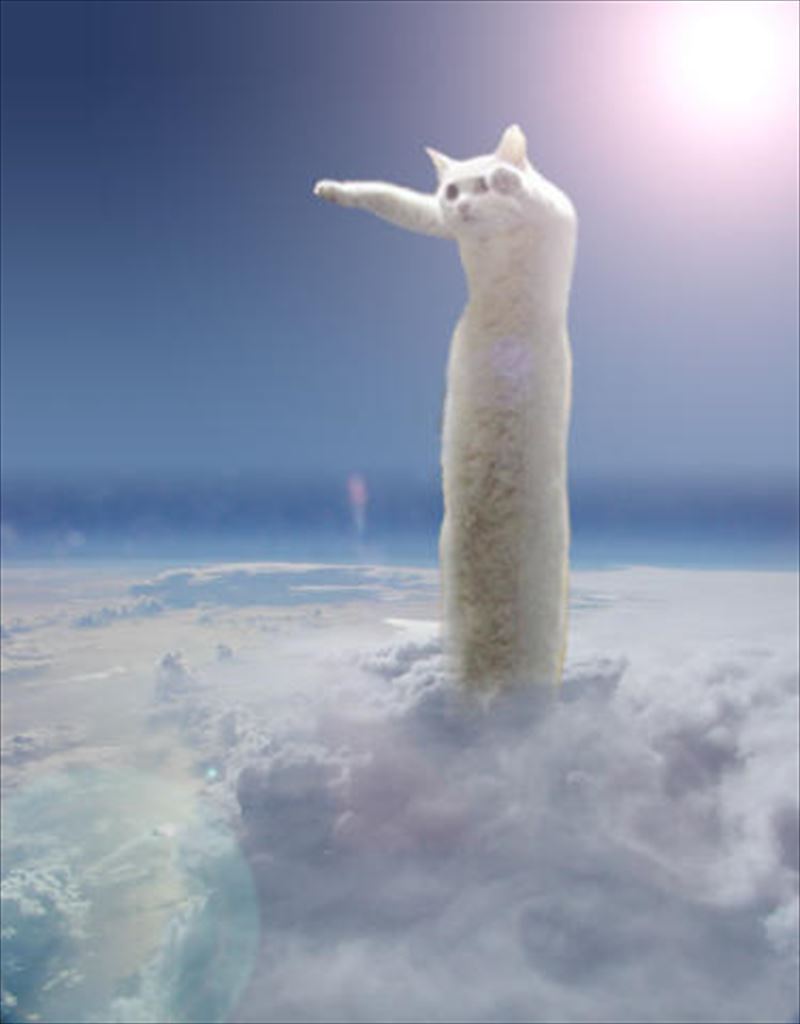 The Cat Behind The ‘Longcat’ Meme Has Passed Away At The Age Of 18 | HITZ