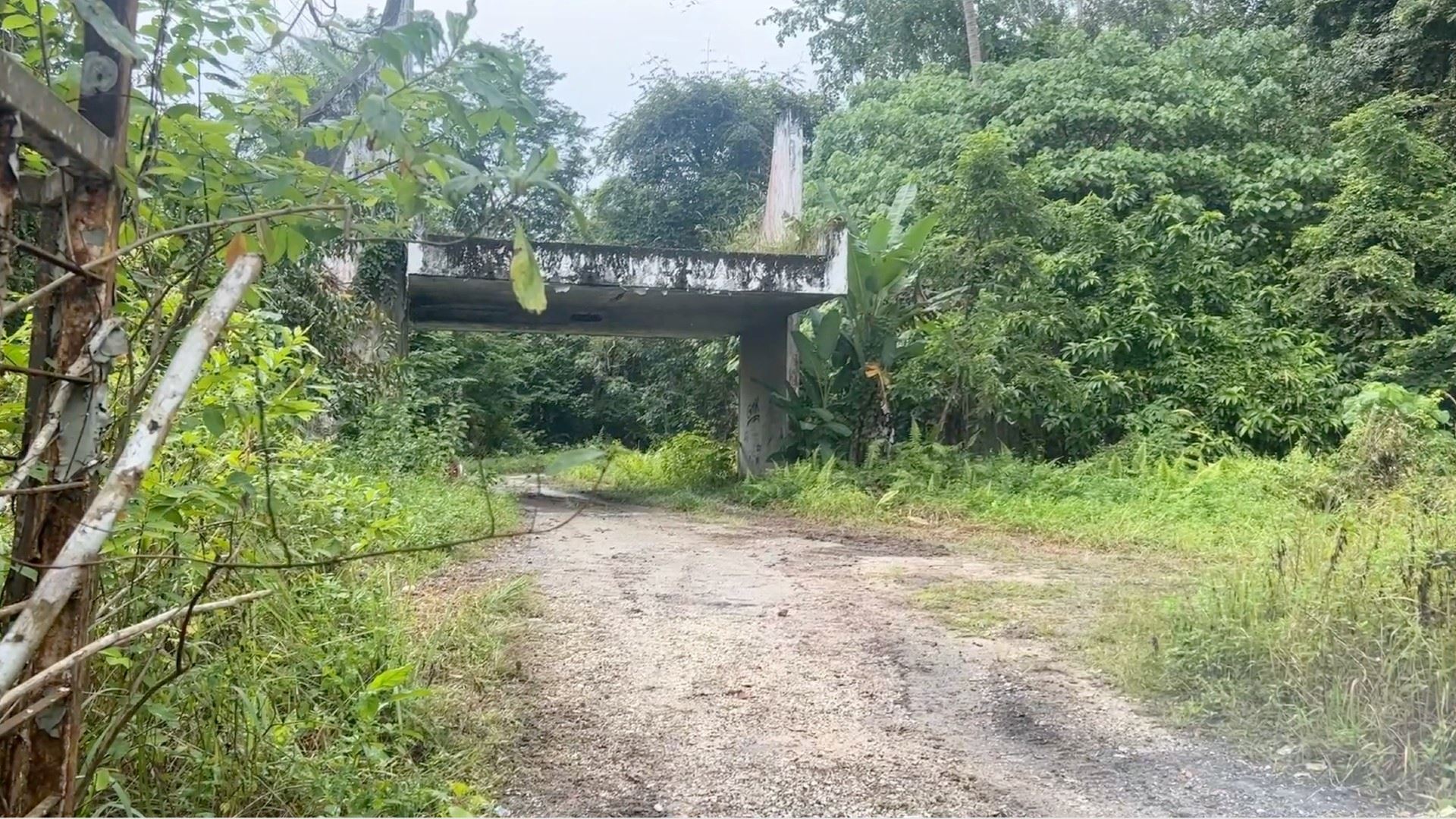 LITE Explored Mimaland! | LITE