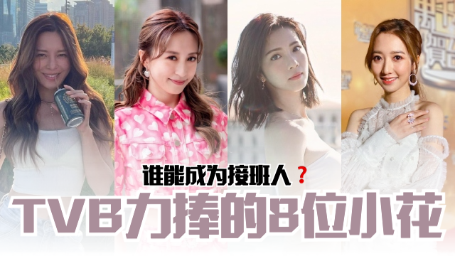 盘点TVB力捧的8位小花 ️谁能成为接班人 | MY