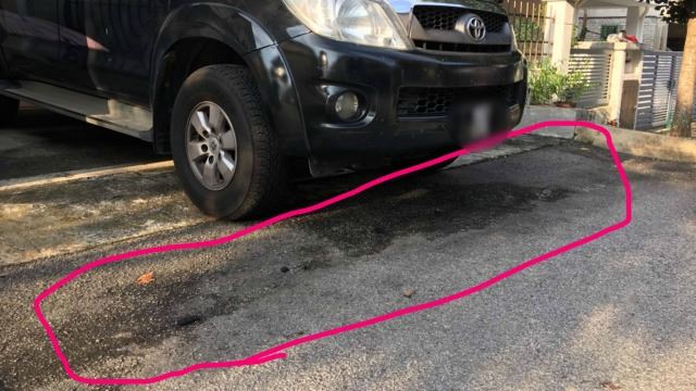 Modal Rm6 Je Untuk Halang Kucing Buang Air Merata | SINAR