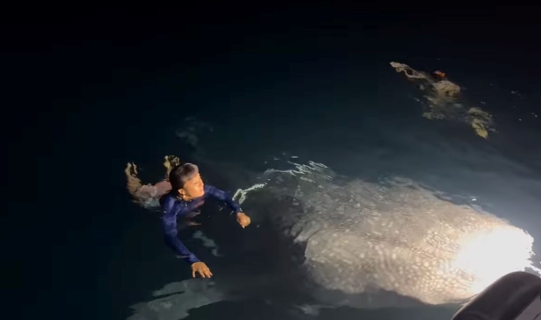 Nabila Huda Teruja Dapat Berenang Sebelah Ikan Yu Paus, “Perasaan Saya ...