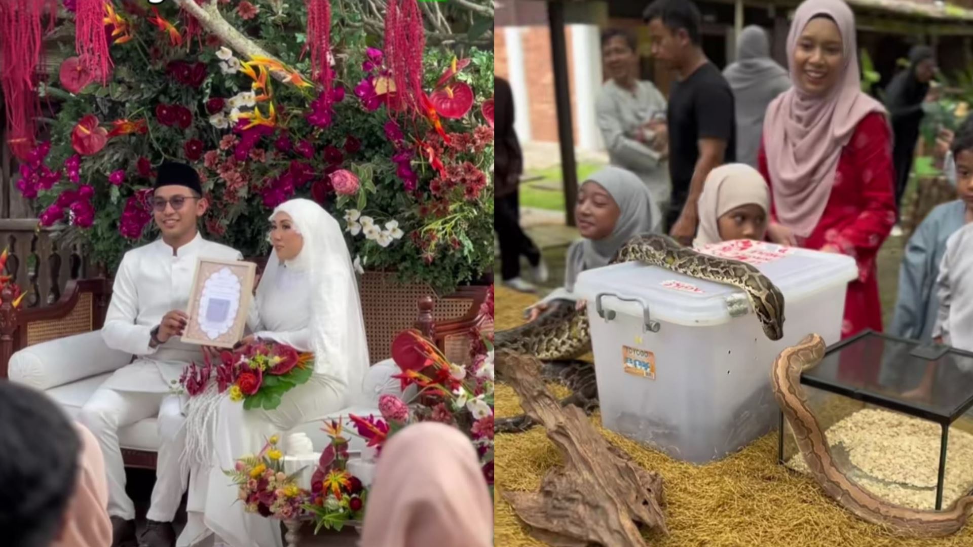 [Video] Cinta ‘Eksotik’, Pengantin Pilih Tema ‘Zoo’ Tampil Unik Pada Hari Bahagia | SINAR