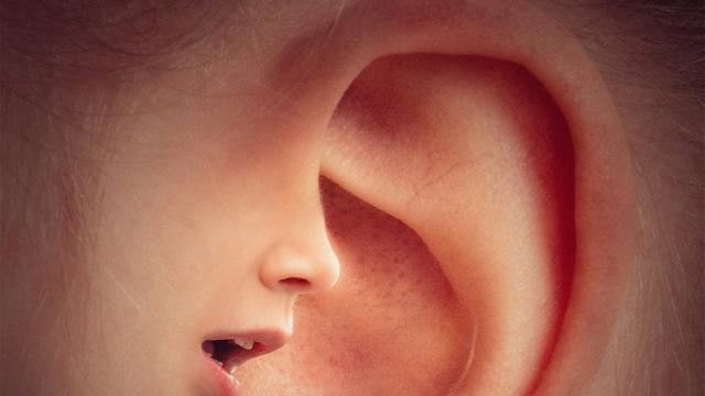 Kebersihan Telinga Dan Segala Apa Yang Ada Di Dalamnya | SINAR