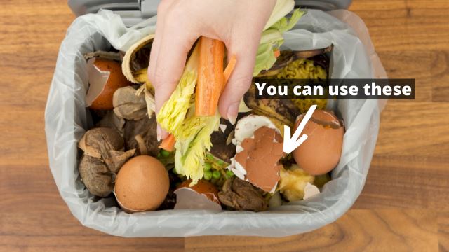 These Are 6 Easy Ways To Reuse Food Remains And Avoid Wasting Them | SYOK